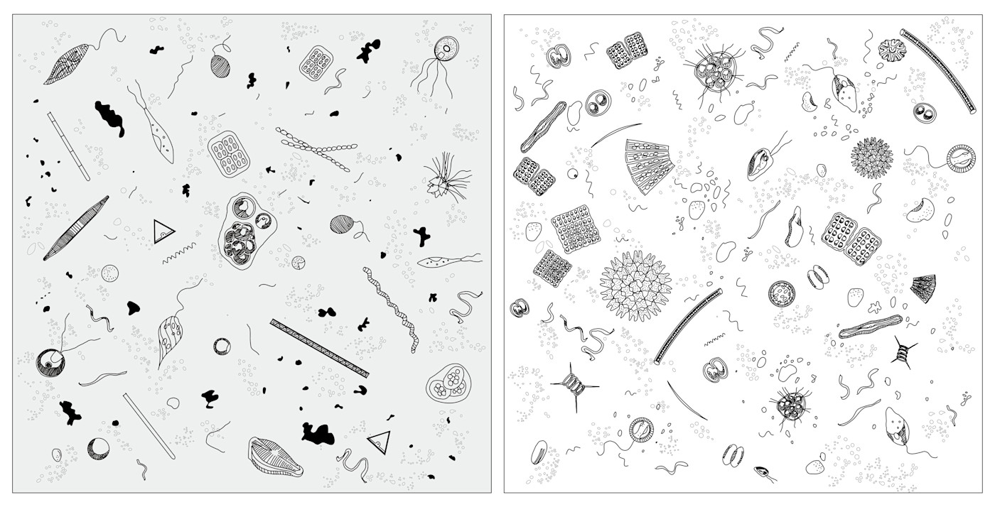 Daylighting River Effra