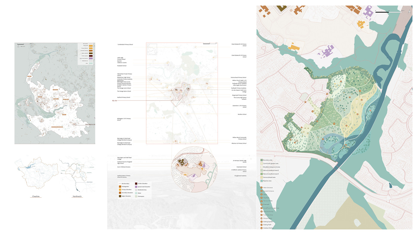 Grow with the Forest