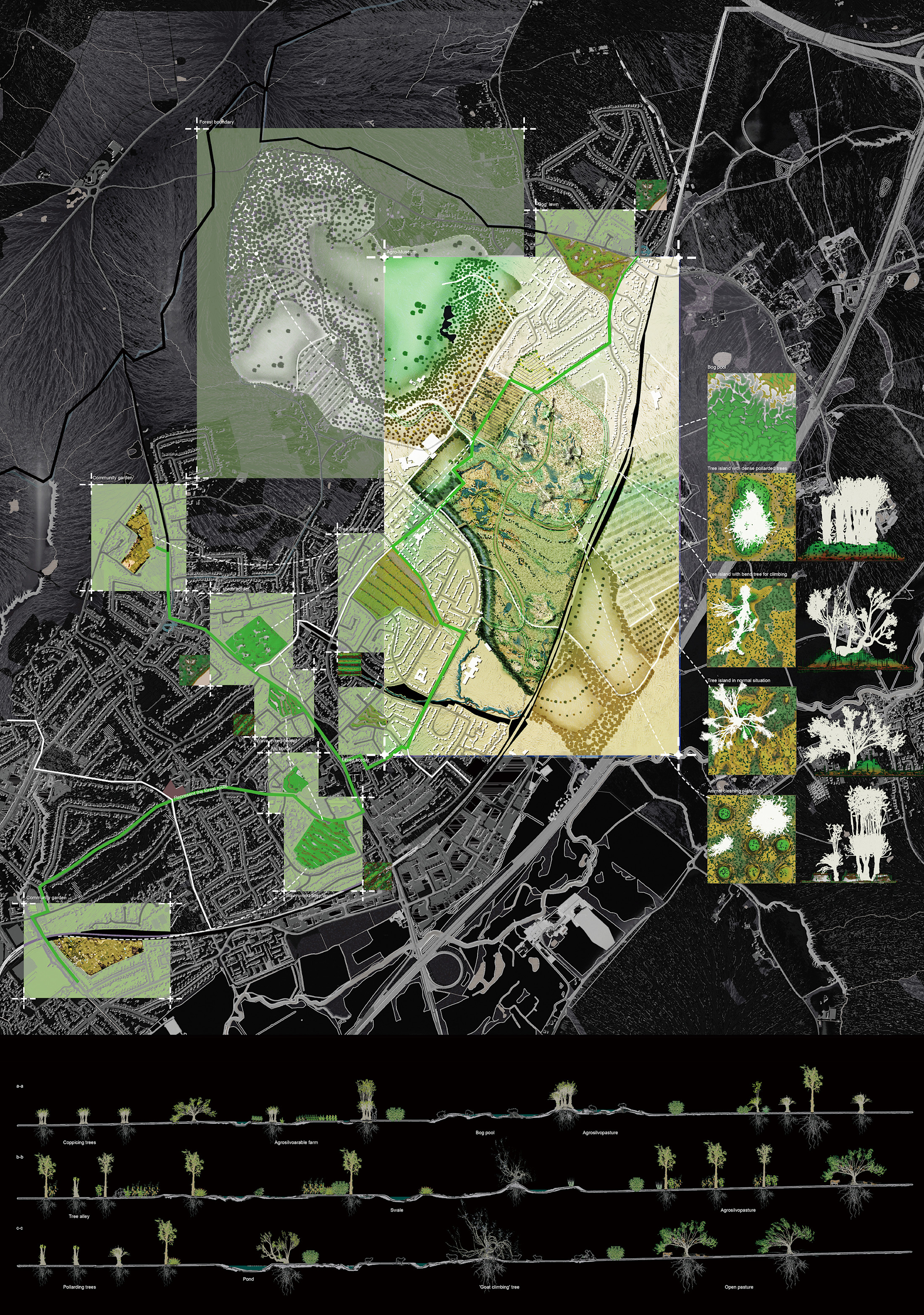 Urban Feral Agroforest Community: Rewilding the ‘Lost’ Forest in Loughton