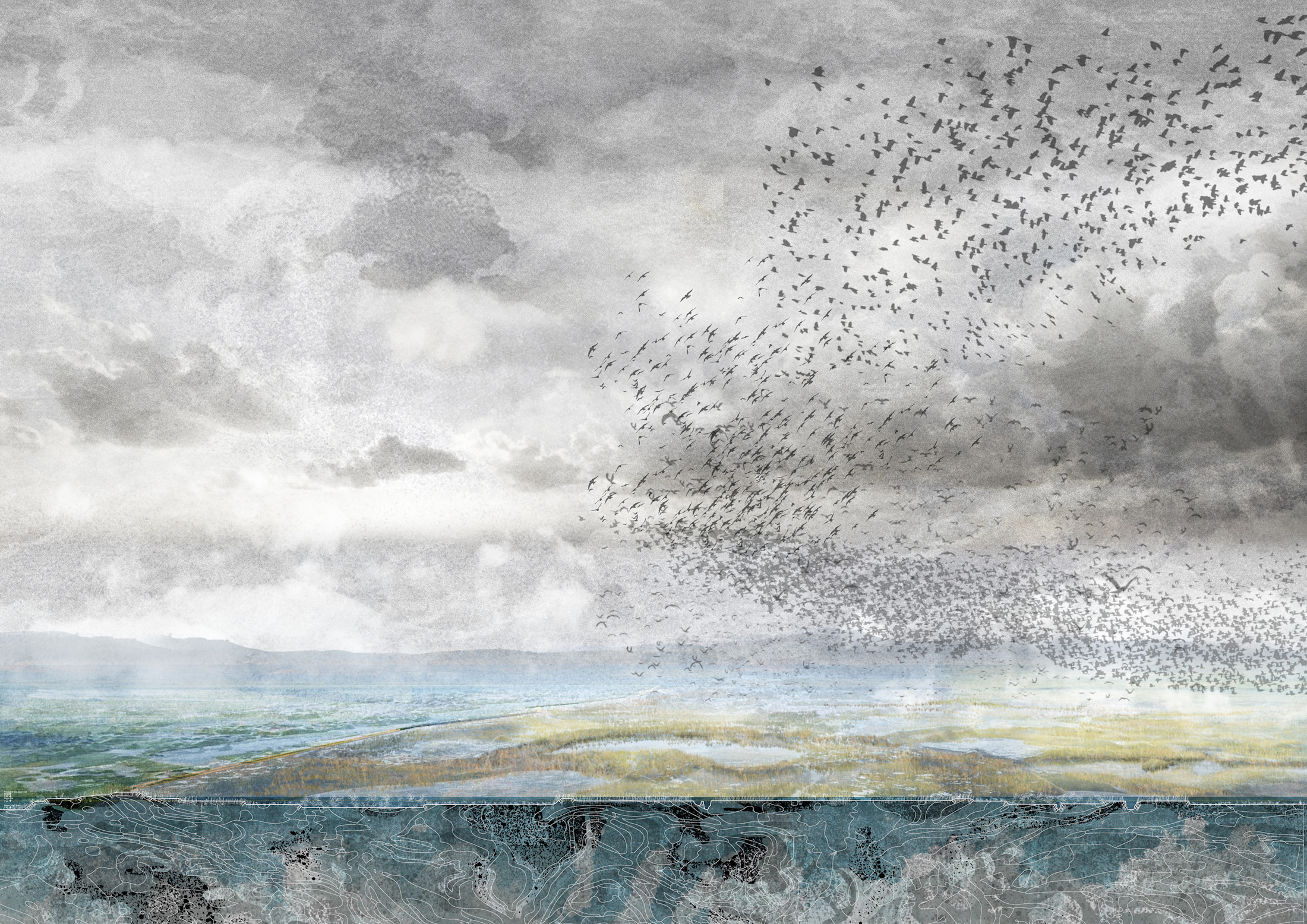 Rewilding Coastal Landscapes - Saltmarsh Habitats as a Flood Mitigation ...