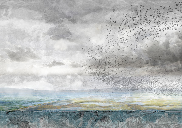 Rewilding Coastal Landscapes - Saltmarsh Habitats as a Flood Mitigation ...