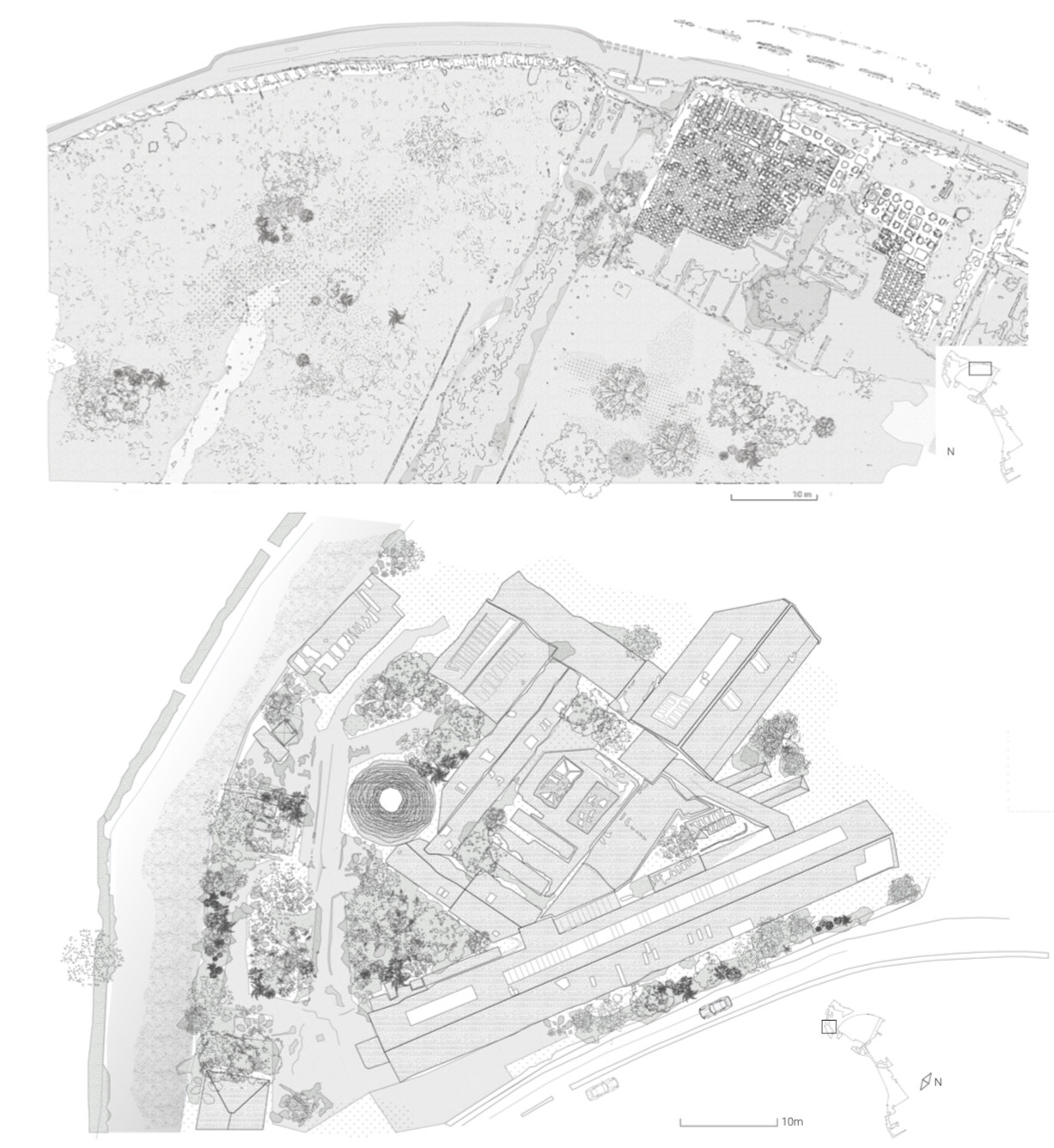 Reviving Cities, Reclaiming Nature