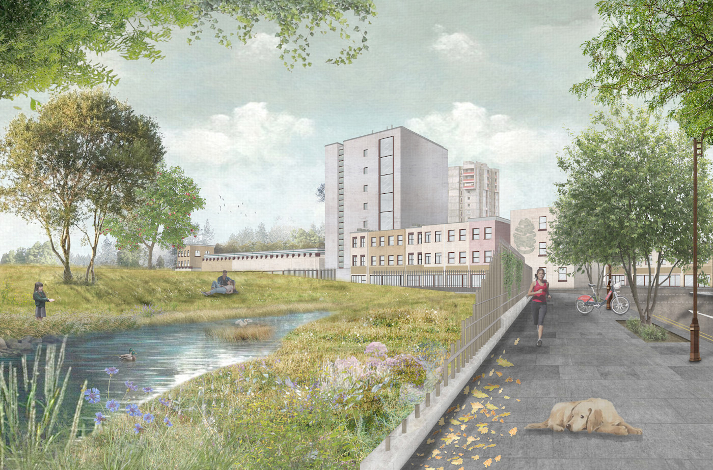 Daylighting River Effra