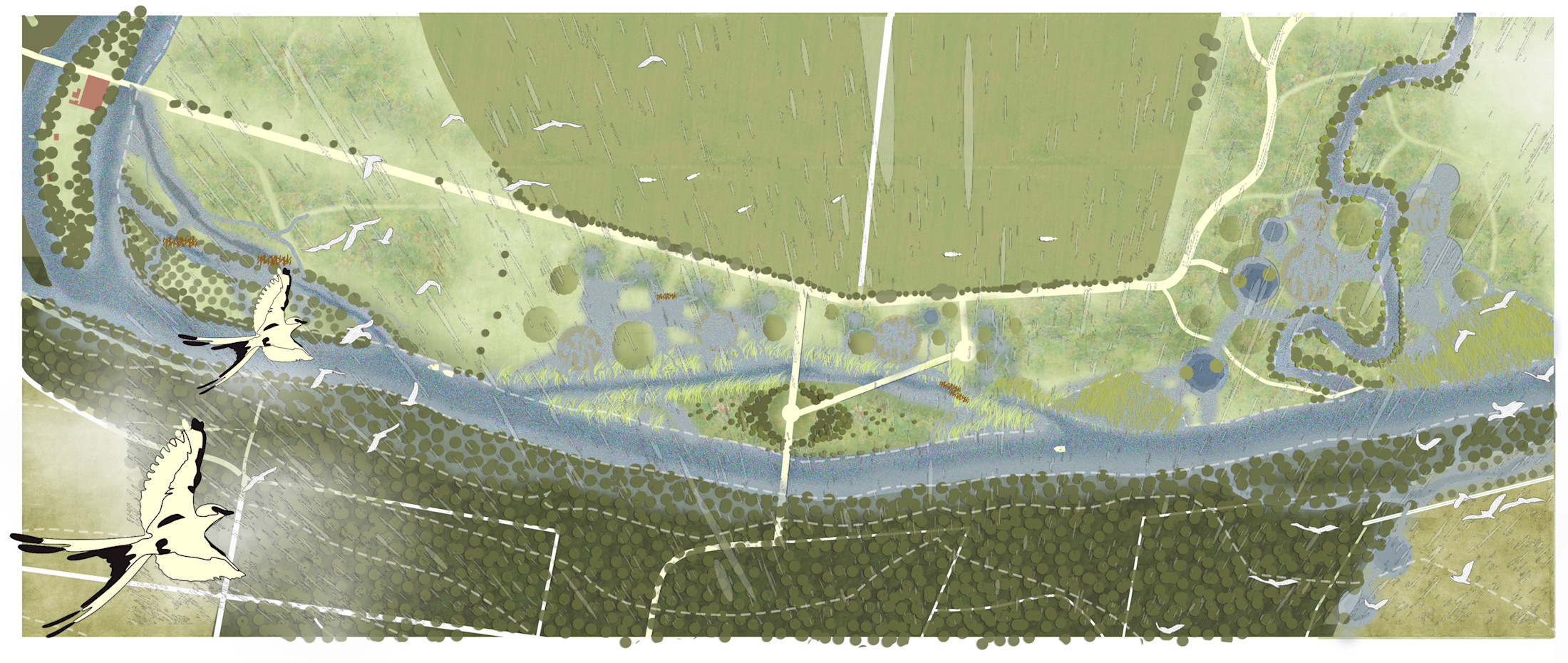 Reviving UK Wetlands: A Climate and Ecosystem Solution