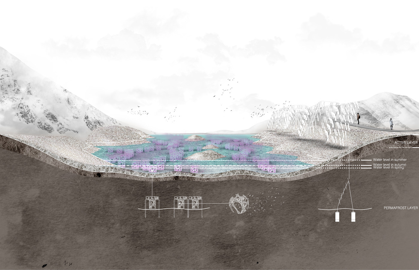 Diatom Park: Design for Diatoms and Humans