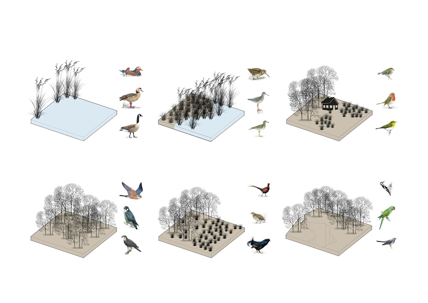 Flying in a Tank-Industrial Heritage Bird Sanctuary Design