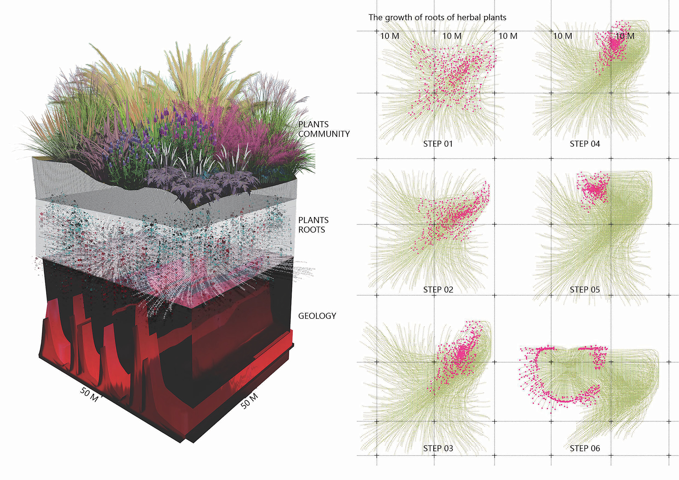 Saline Soil Recovery for Wetland Regeneration