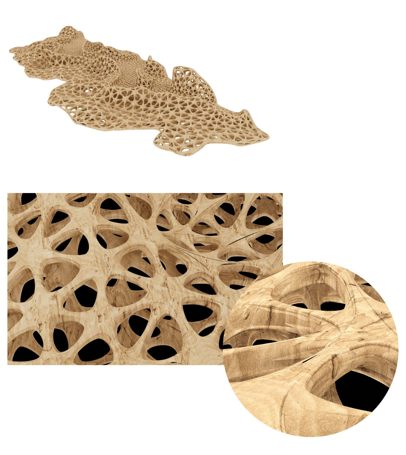 Flomediate – Biofilm garden