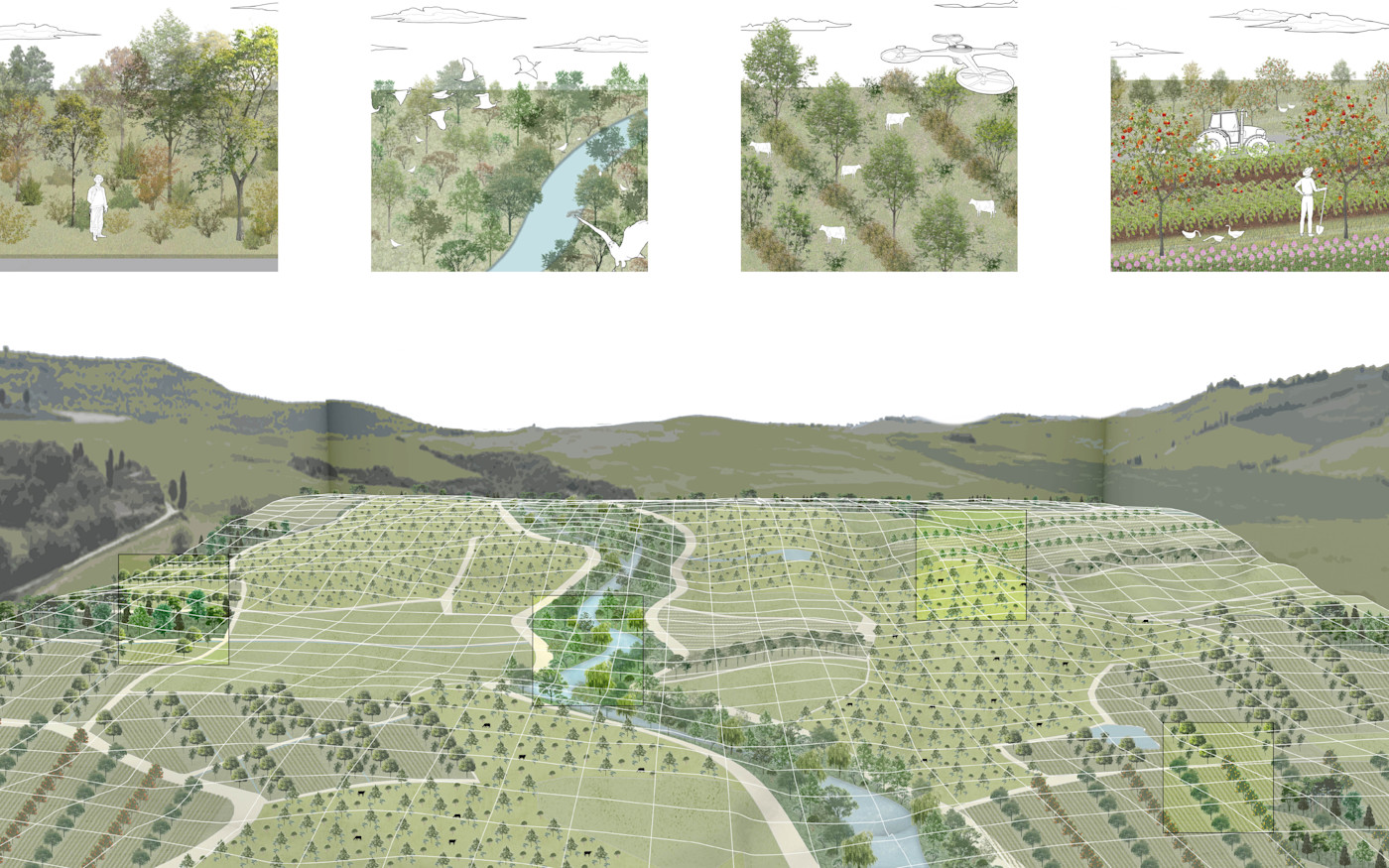 Flowing Renewal: Restoring, Reconnecting, Revitalizing Agroecology