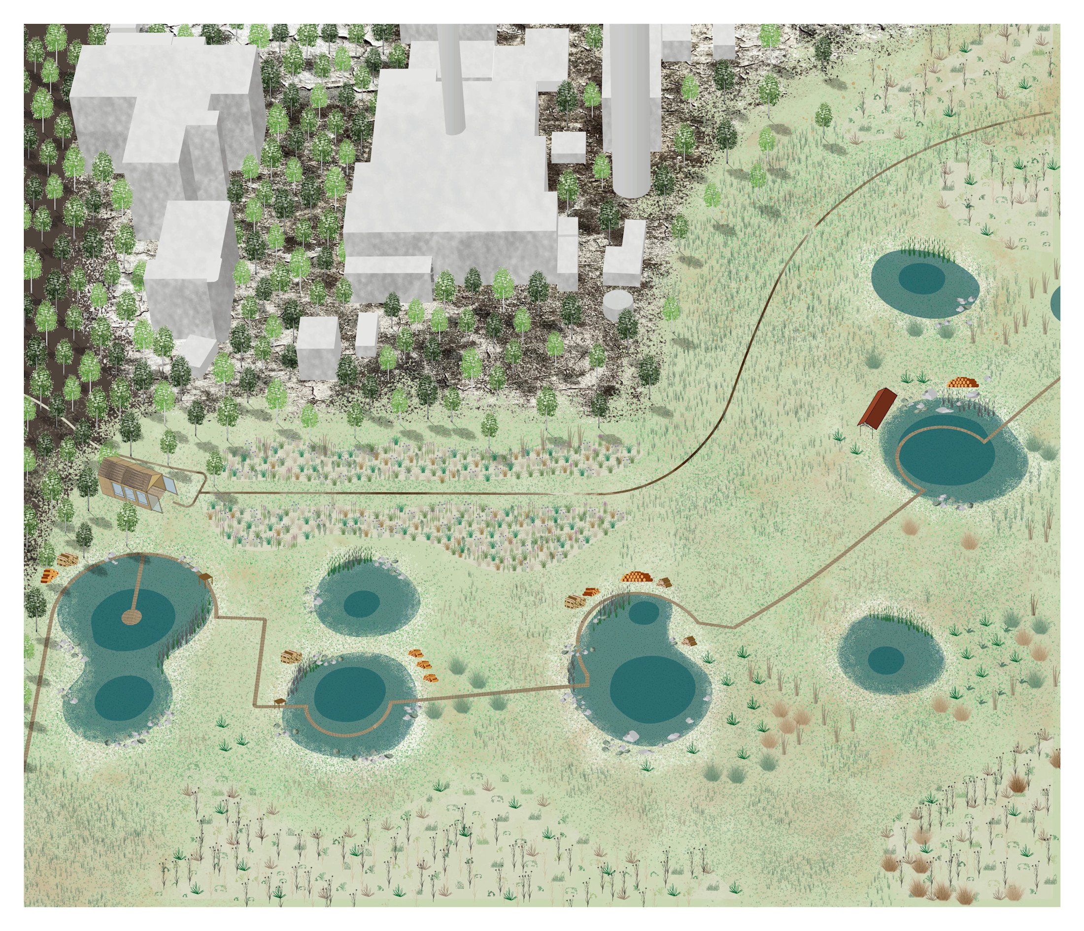 Landscape of Protest