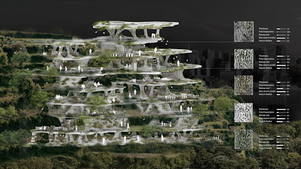 Physarum Poly-xylem City