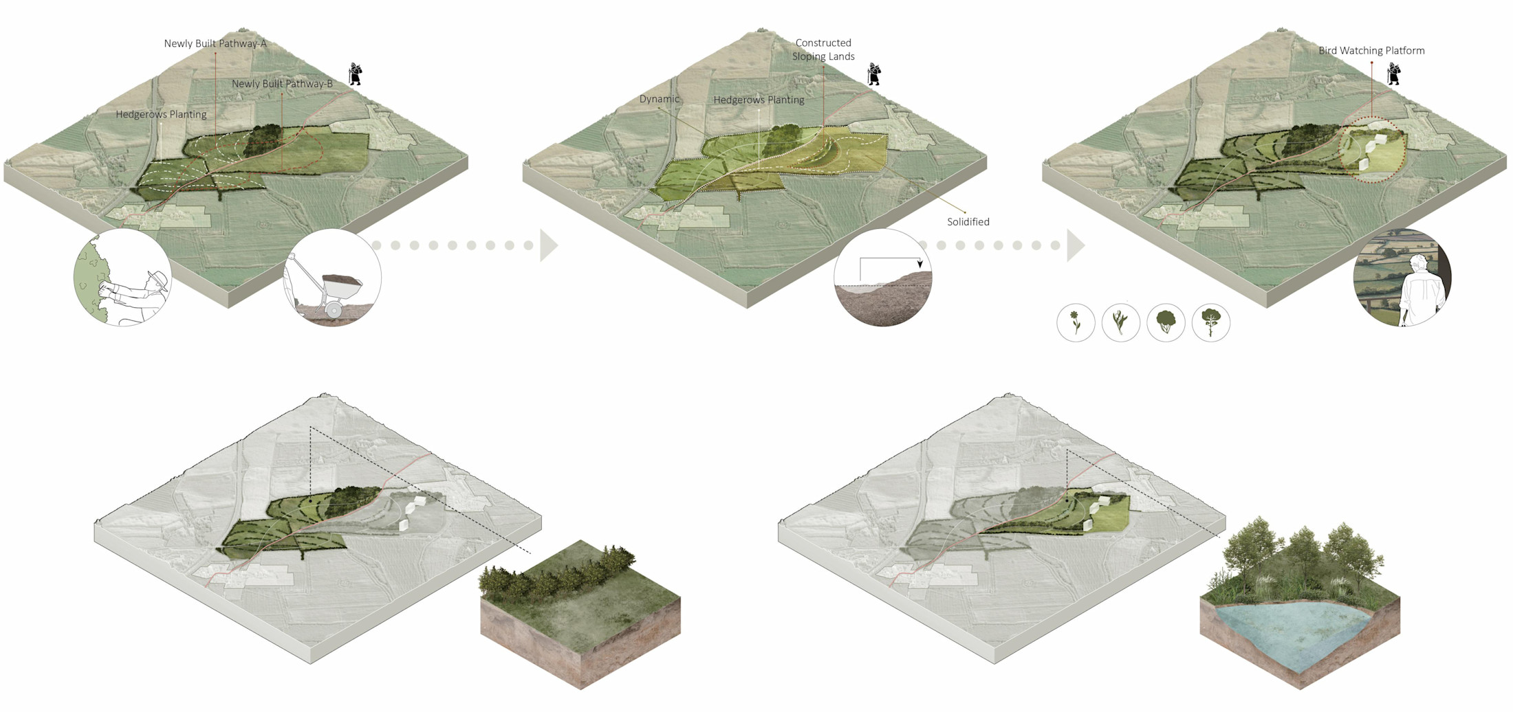 Lead by Hedgerow - New Landmark on the Pilgrimage Road