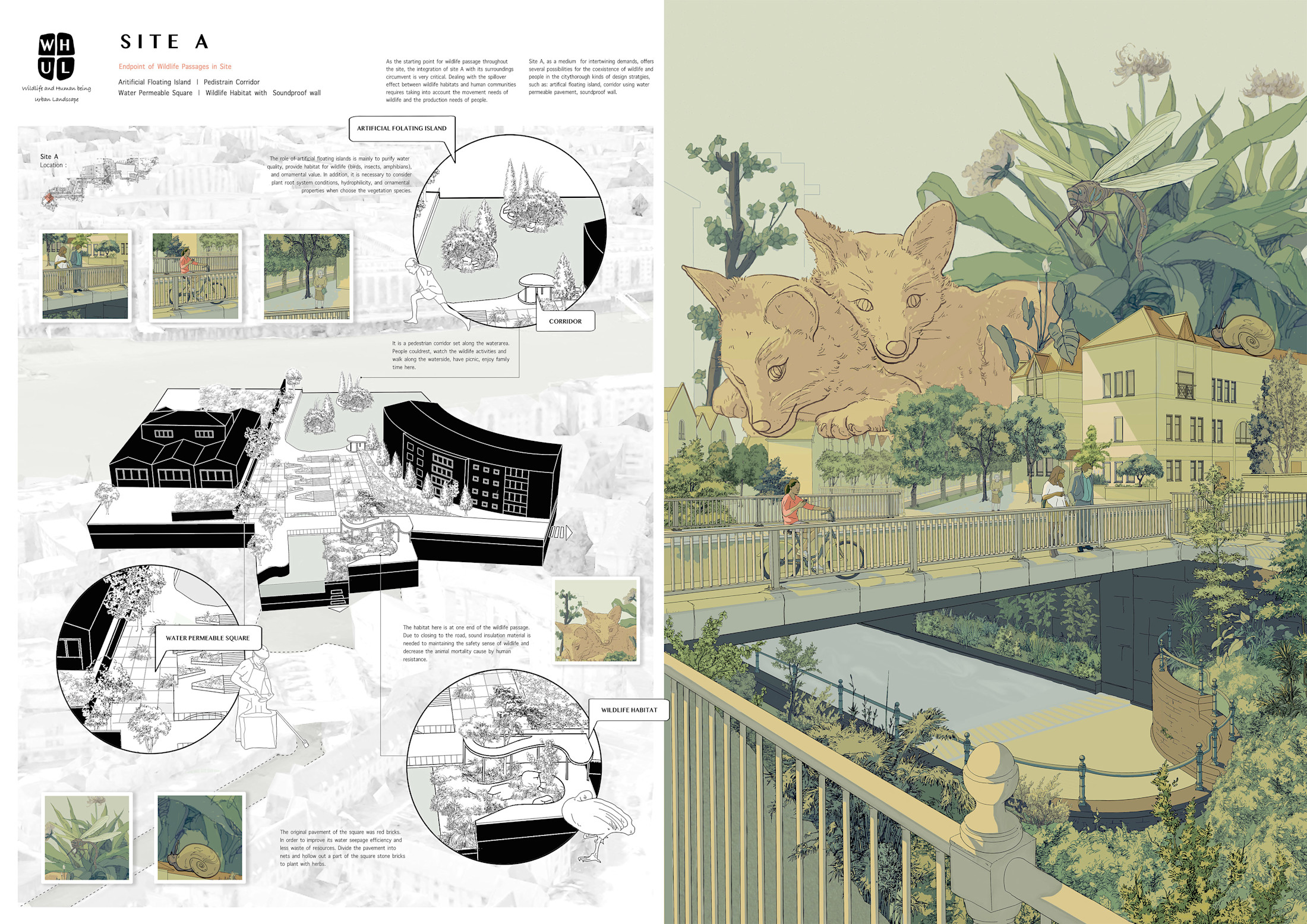 More than a Human City: Coexistence with Wildlife in Urban Space