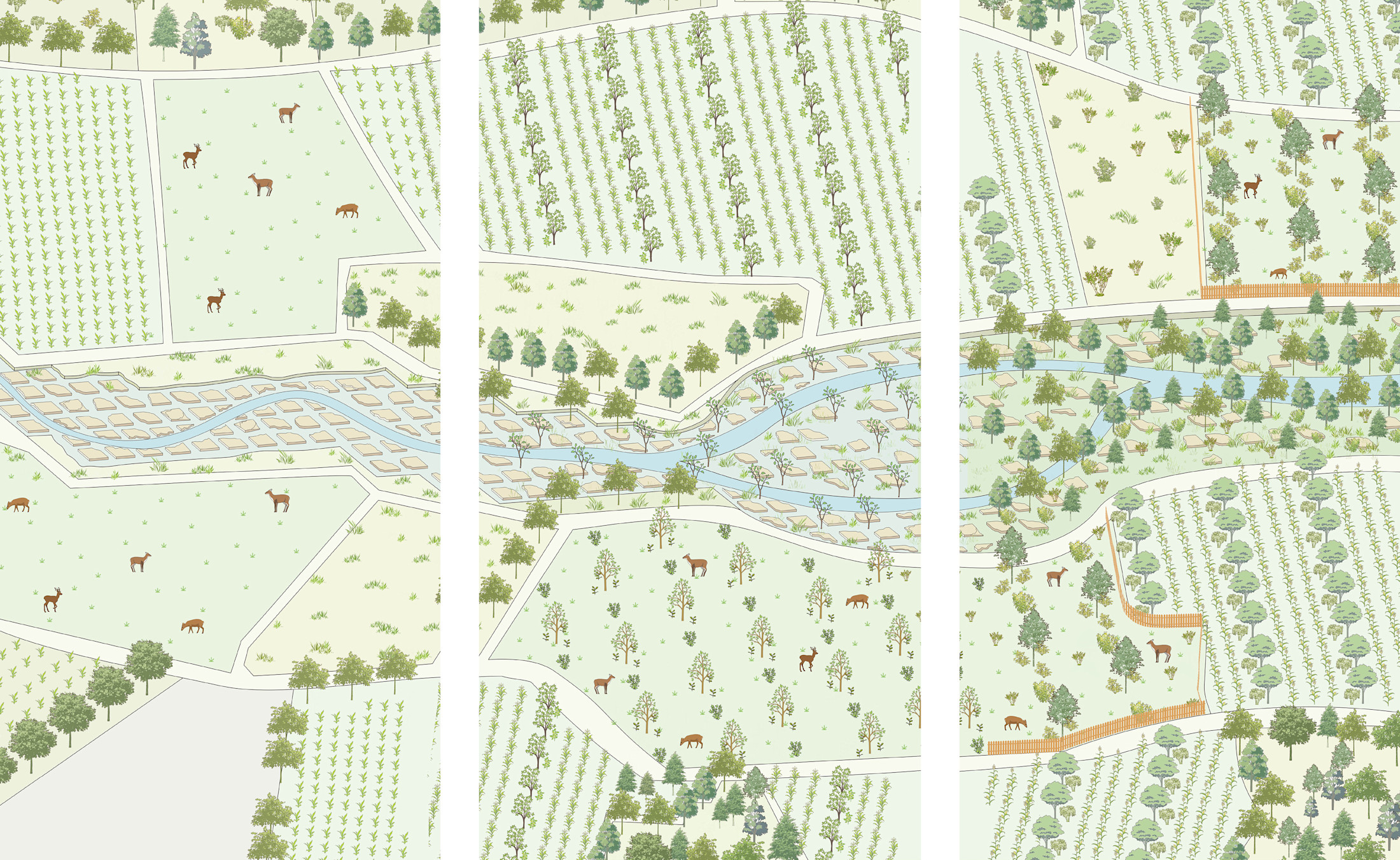 Flowing Renewal: Restoring, Reconnecting, Revitalizing Agroecology