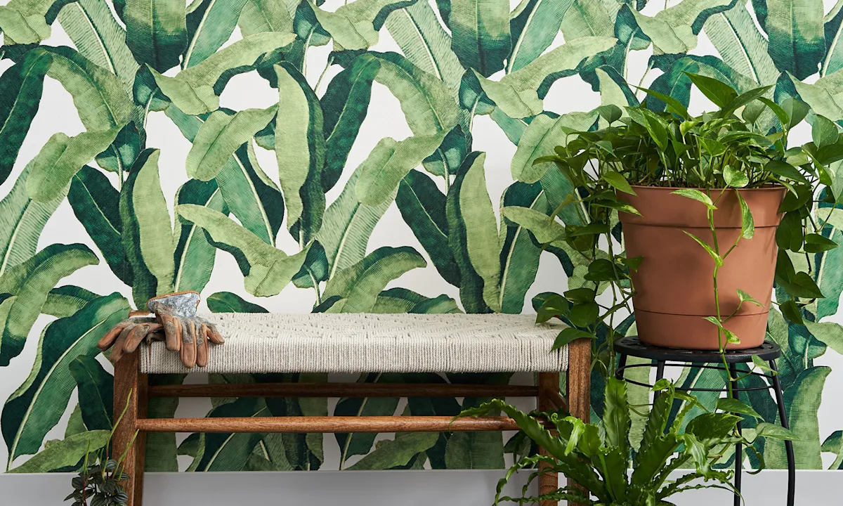 Discounts, Coupon & Promo Codes | Spoonflower