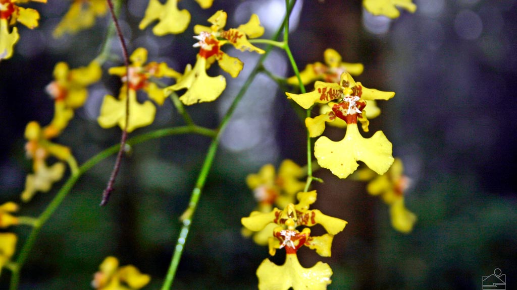 Liberia Costa Rica All Inclusive Vacation Deals - Sunwing.ca