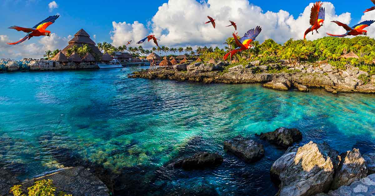 5 Unforgettable Eco-Adventures In The Tropics | Sunwing.ca