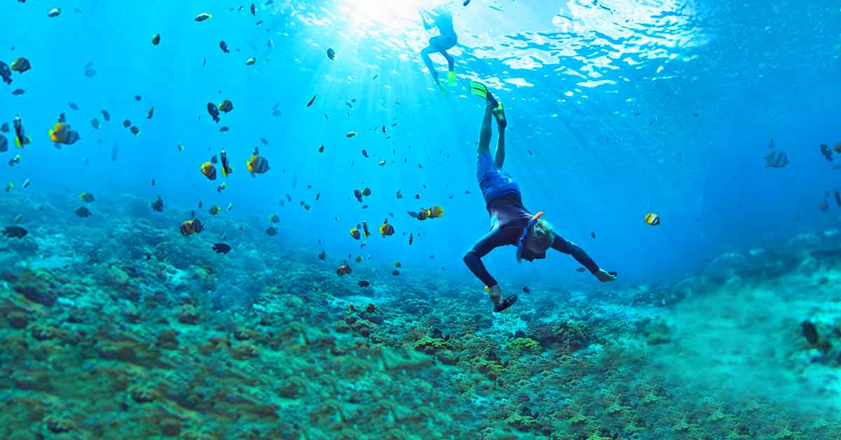 Best Ways To Explore The Deep Blue | Sunwing.ca