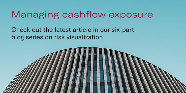 Mapping cashflows and FX needs to better visualize risk and exposure ...