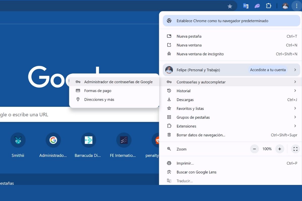 Opening the Google Chrome password manager