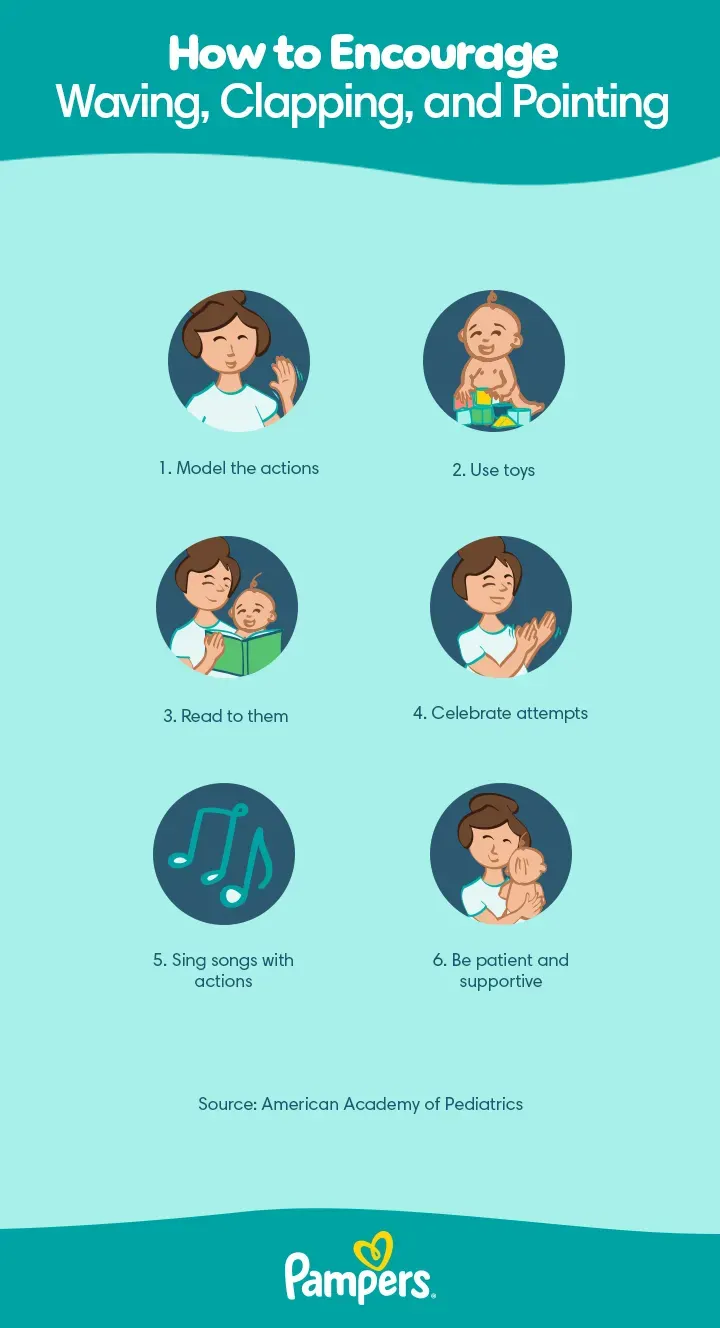 When Do Babies Start Clapping, Waving, and Pointing? | Pampers India