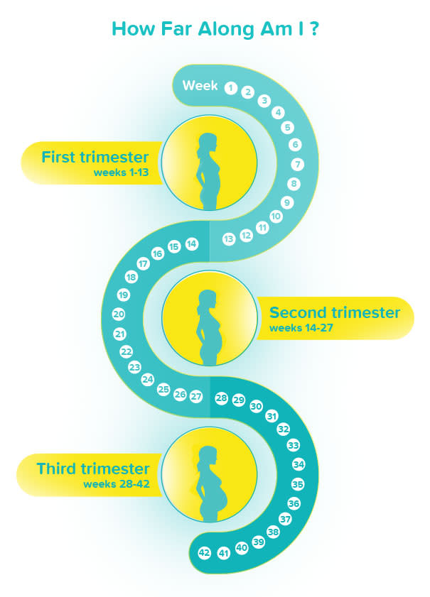 1 Week, 2 Weeks, 3 Weeks: Pregnancy Symptoms, Fetal Development