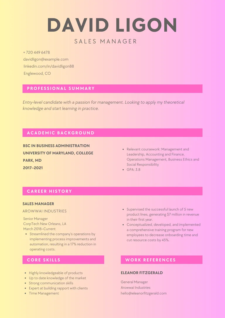 Resume Design: A Comprehensive Guide with Tips and Tools