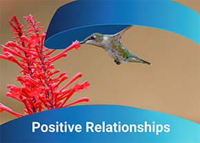 Positive Relationships Extended Course | On-Demand Character Strengths ...