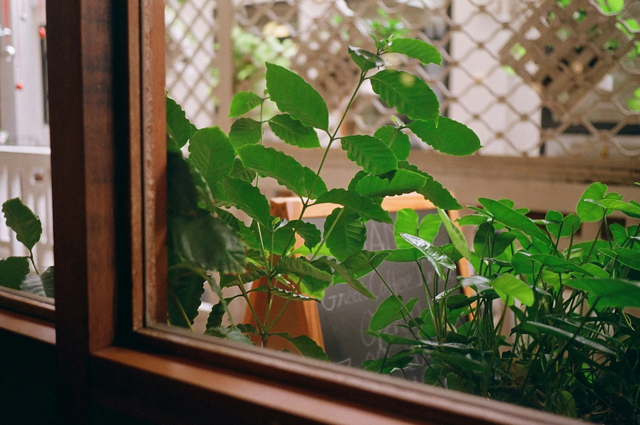 Sustainable Luxury Aluminium Windows & Doors | Technal UK - TECHNAL