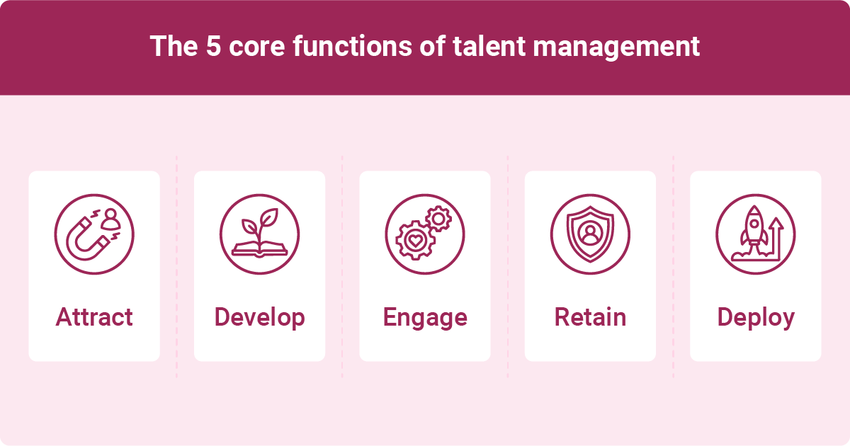 Talent Management Strategy: How to Attract, Develop, and Retain Talent