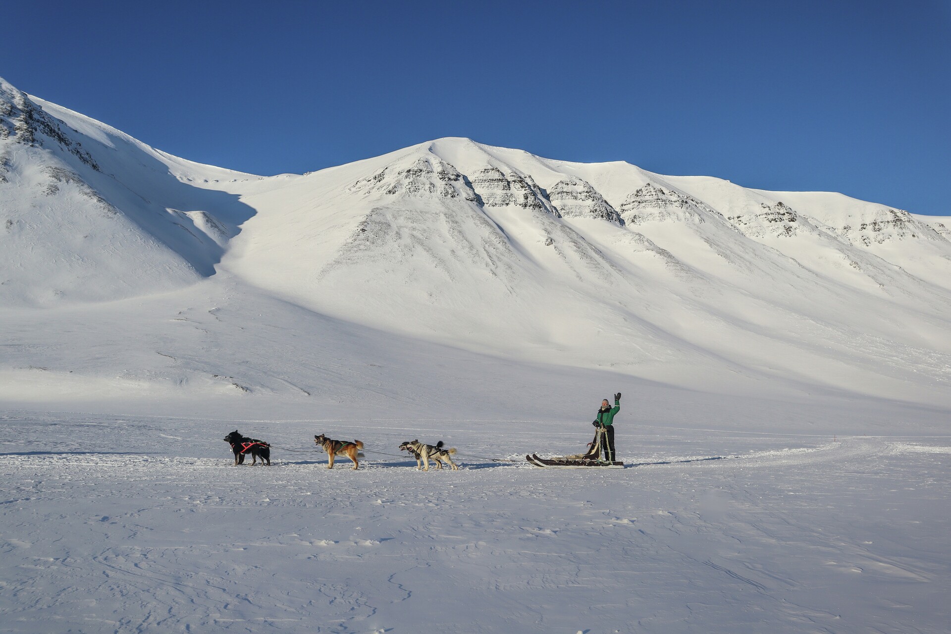 Dog Sledding in Bolterdalen | Day Tour on Svalbard | Hurtigruten Svalbard
