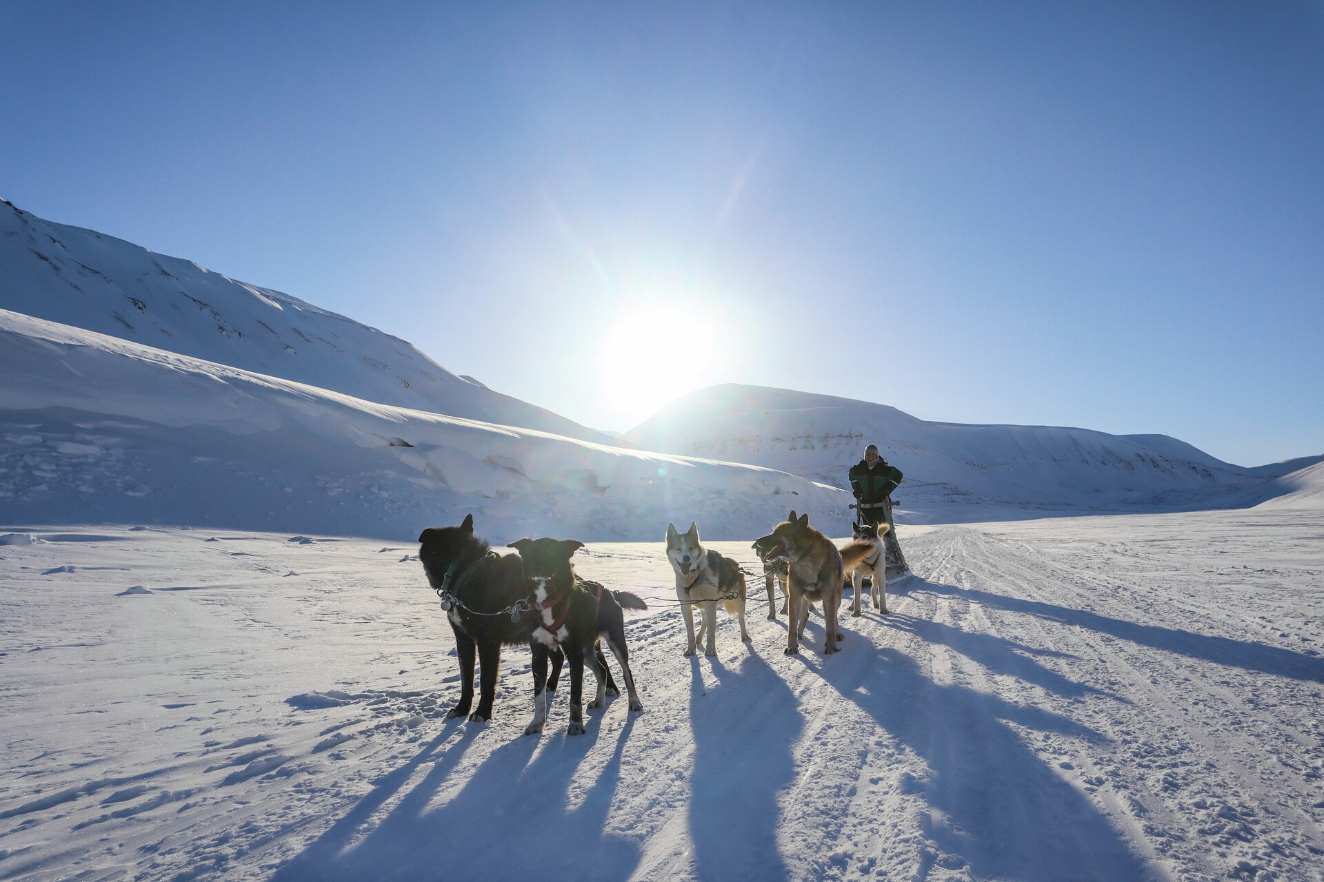 3-dagers ekspedisjon med hundeslede | Svalbard | Hurtigruten Svalbard