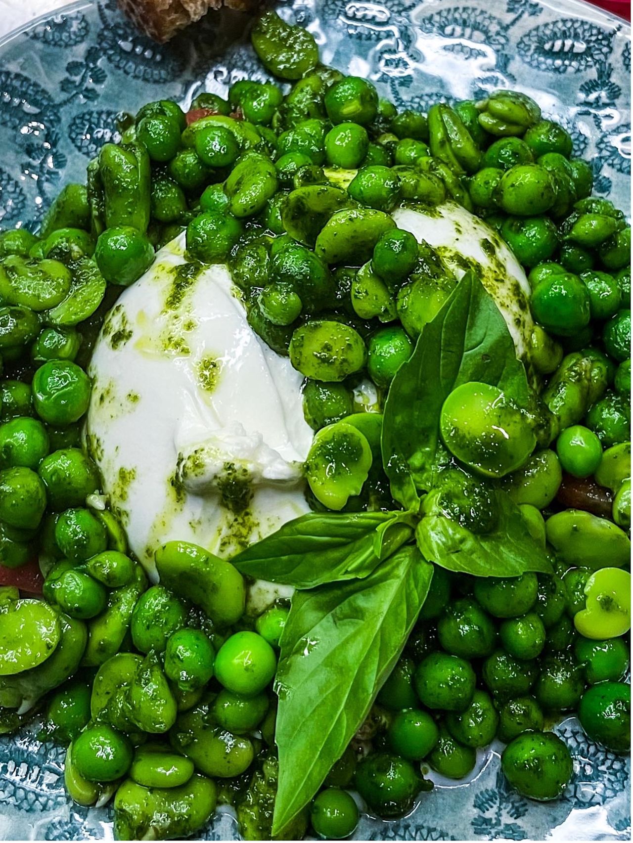 Burrata mit Gartenerbsen, Fave-Bohnen und Basilikumöl | HOMEMADE