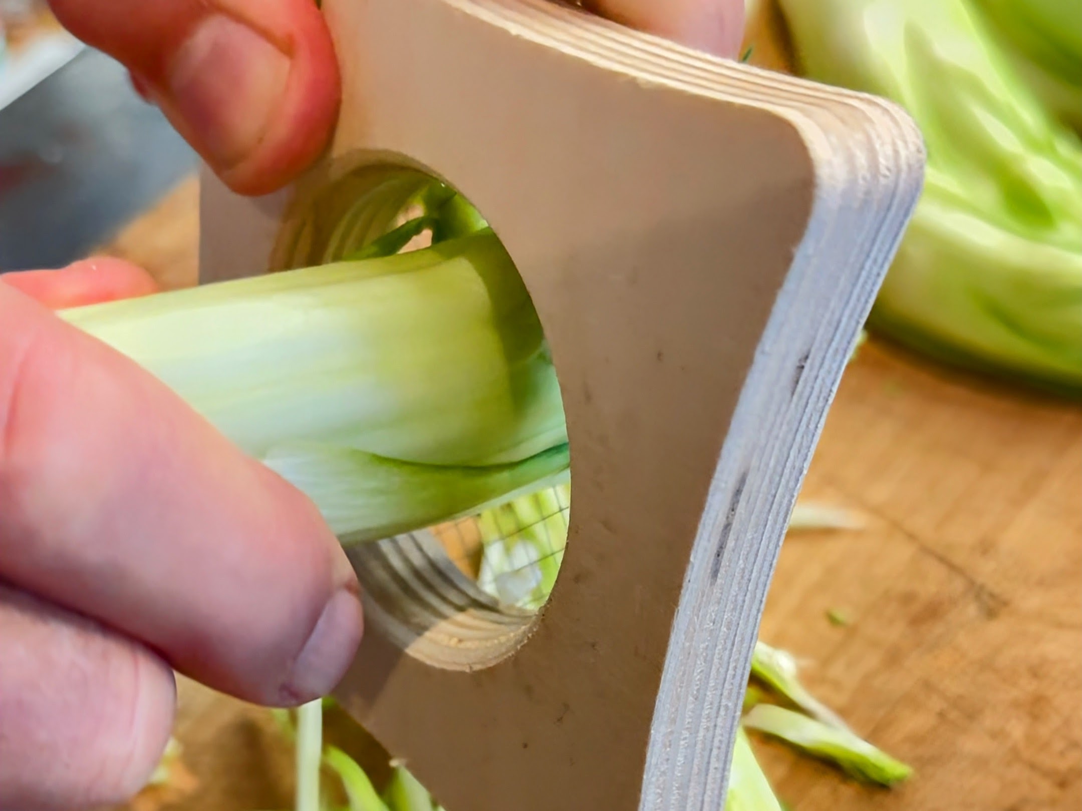 Puntarelle Pasta | HOMEMADE