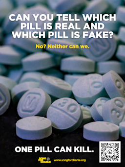 Outreach Toolkit | Song for Charlie