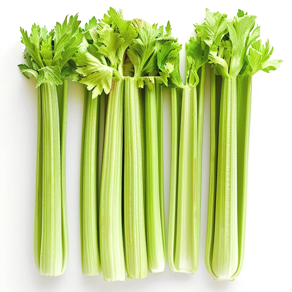 Our plant-based ingredients