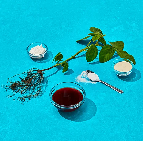 Heme + The Science Behind Impossible™