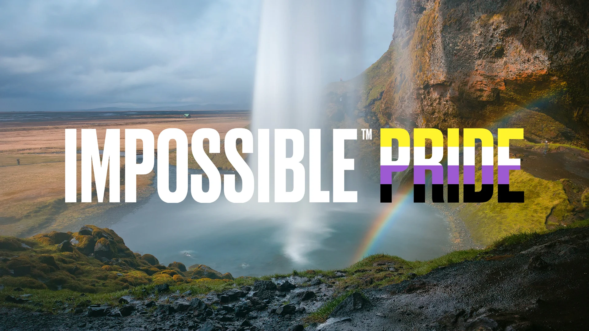 What is in Impossible™ Chicken Nuggets (+ why they're a must for your ...