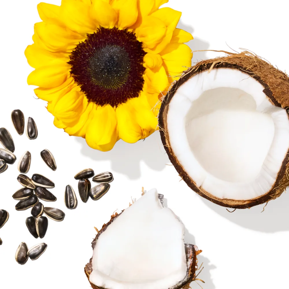 Our plant-based ingredients