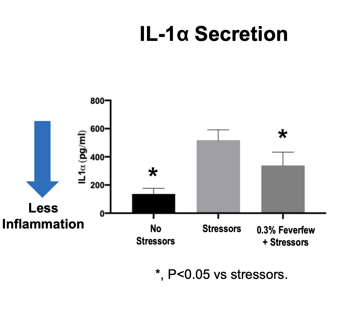 Mitigation of Damage Induced by Environmental Pollution by Feverfew ...