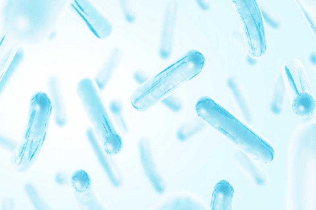 Strains Of Probiotics & Mechanism Of Action | Zarbee's® Professional