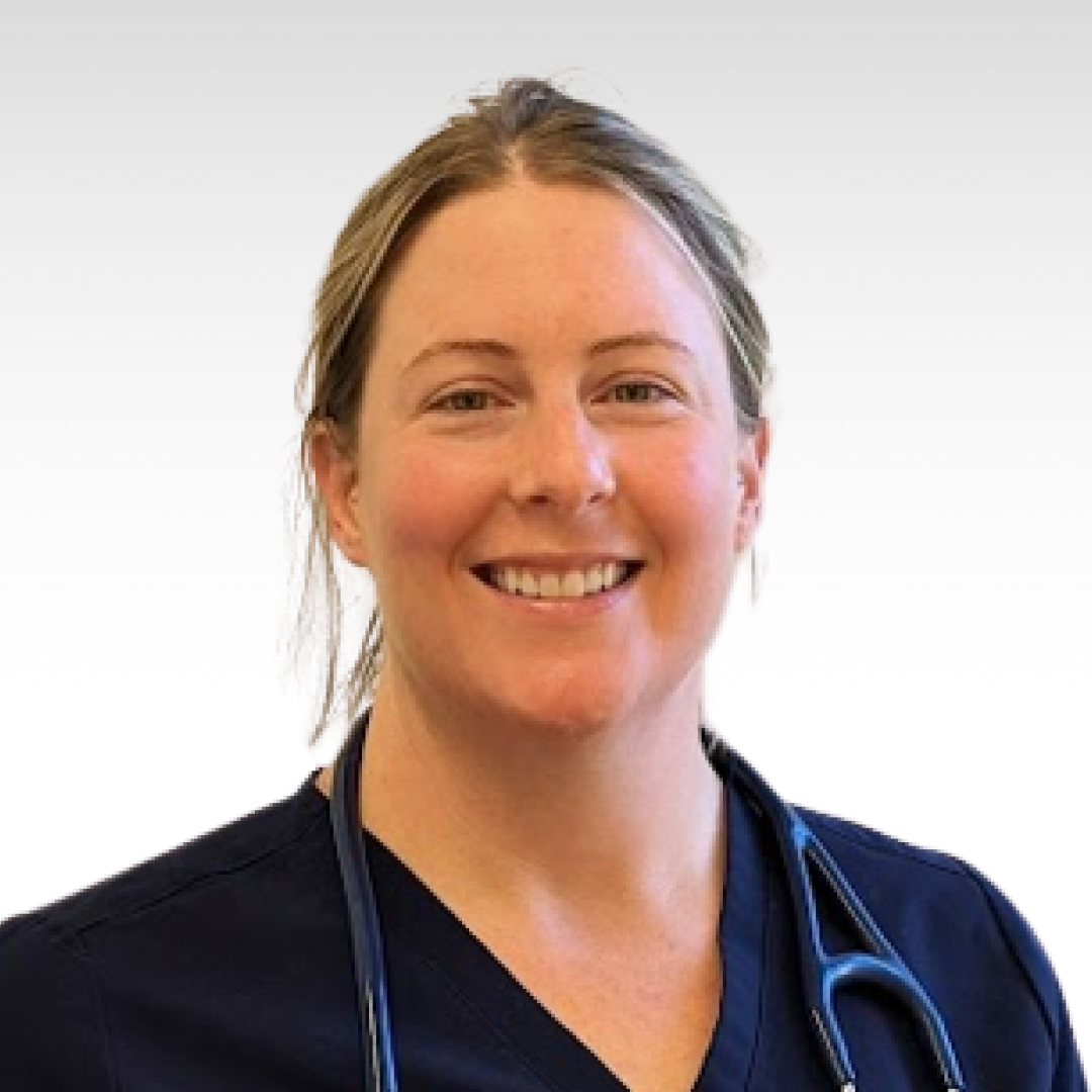 Vet Clinic | Holly Springs, NC | Petfolk