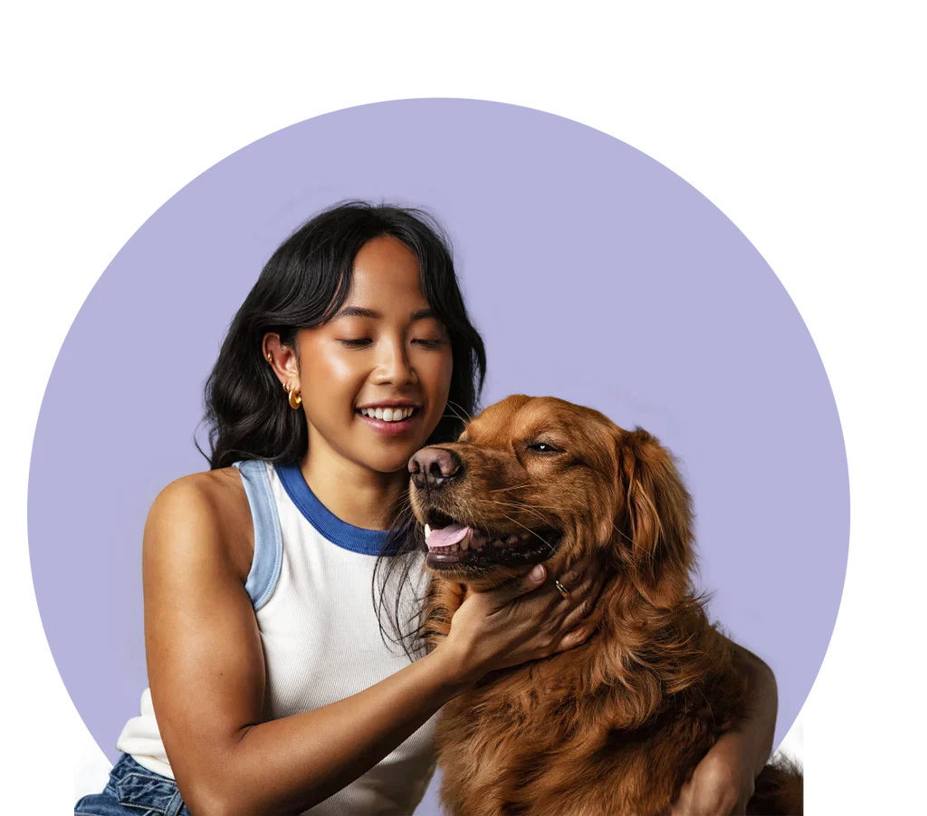 Book your Spay / Neuter with Petfolk | Petfolk