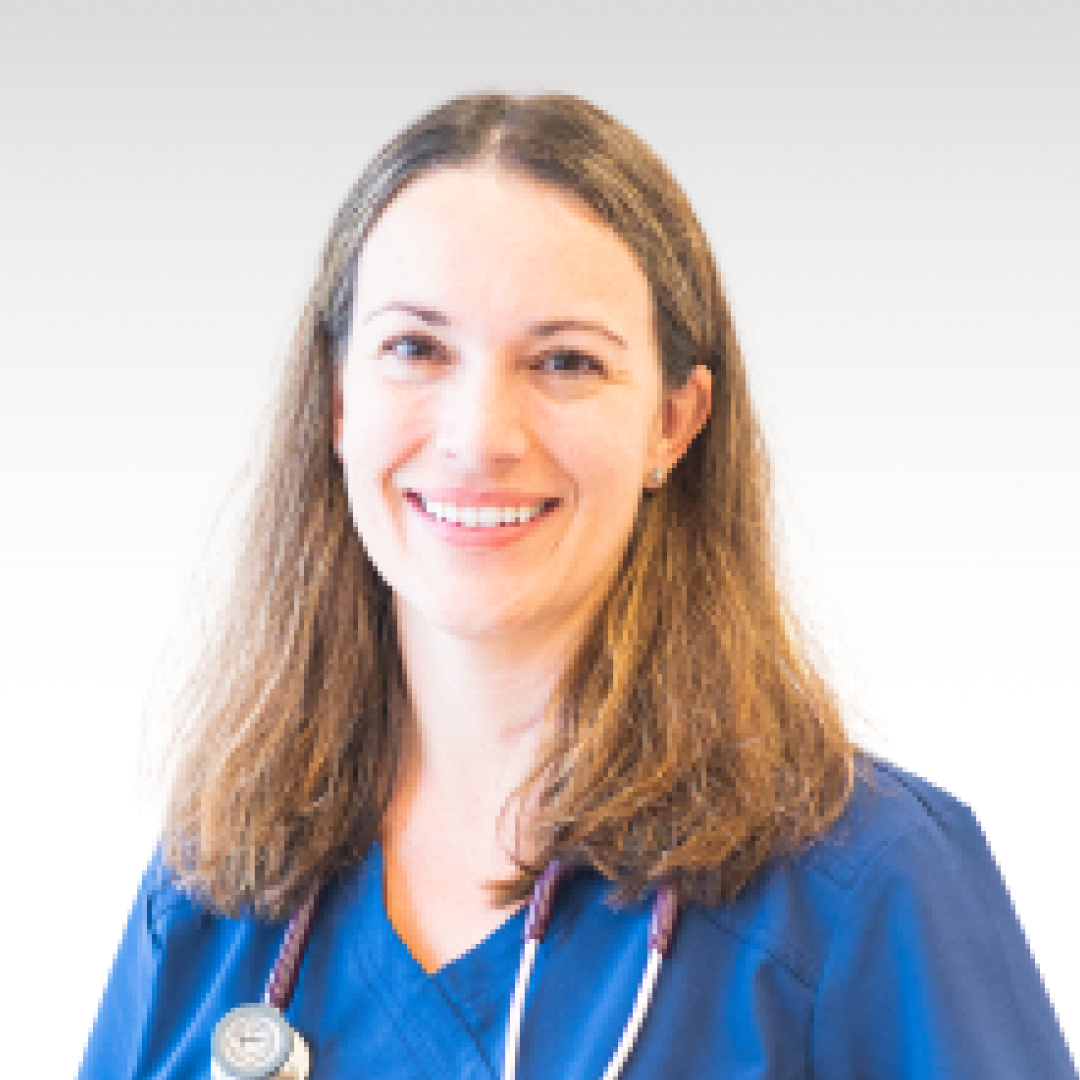 North Hills Vet Clinic, Raleigh, NC - Top Rated Veterinary