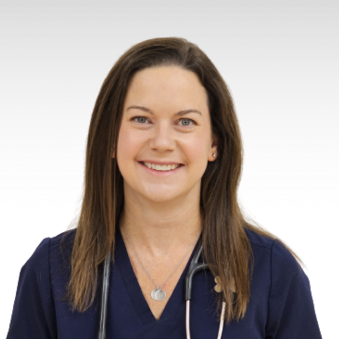 Vet Clinic | East Cobb Marietta, GA | Petfolk