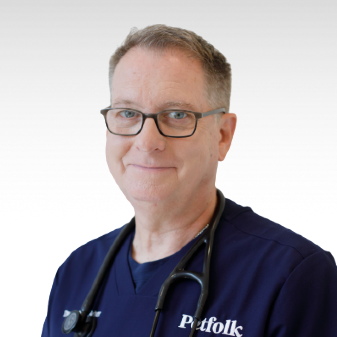 Veterinary in Altamonte Springs - Orlando | Best Pet Services