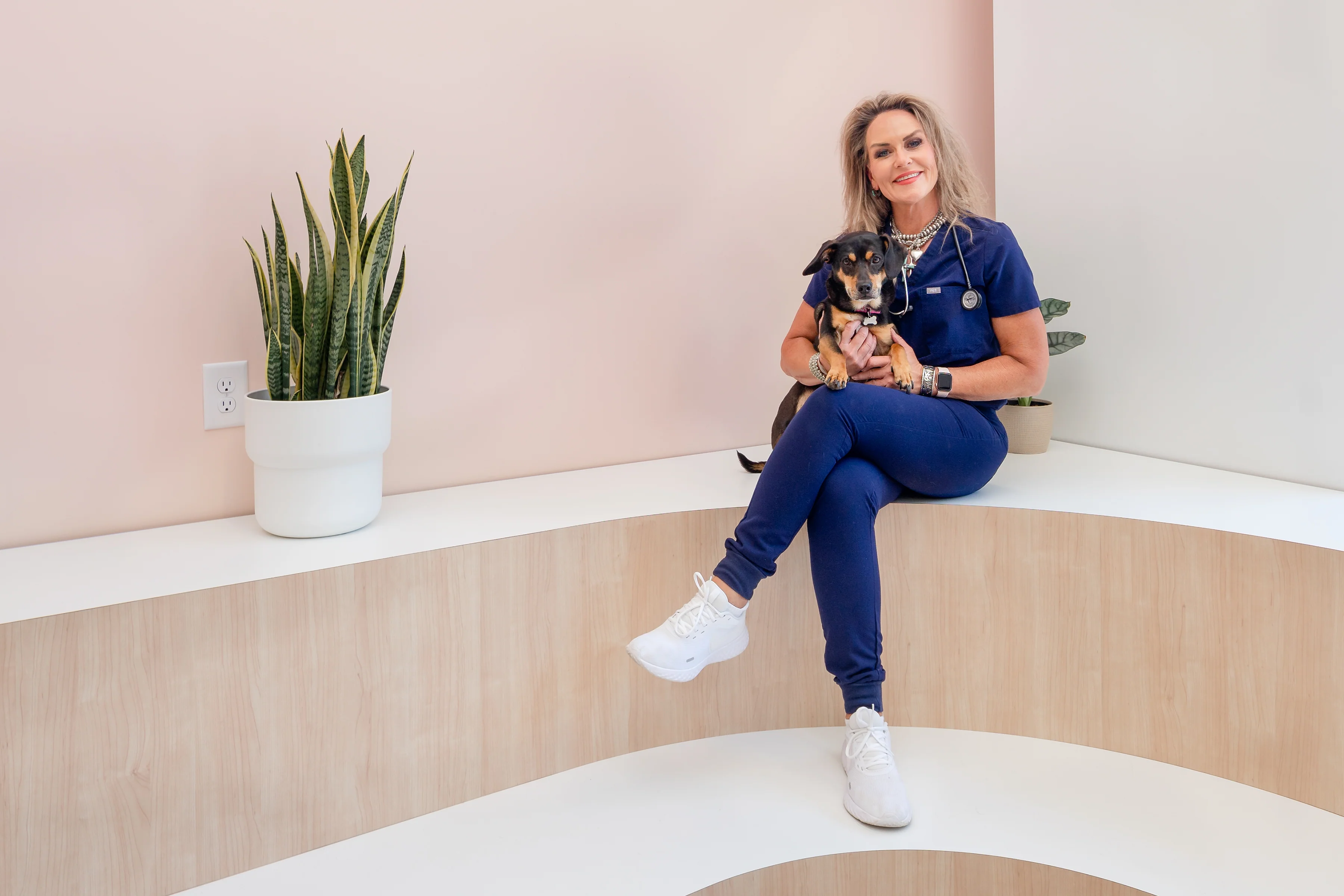 Choosing The Right Veterinarian For Your Pet | Petfolk