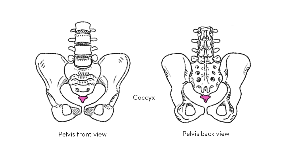 Understanding Coccyx (Tailbone) Pain Understanding Coccyx (Tailbone) Pain