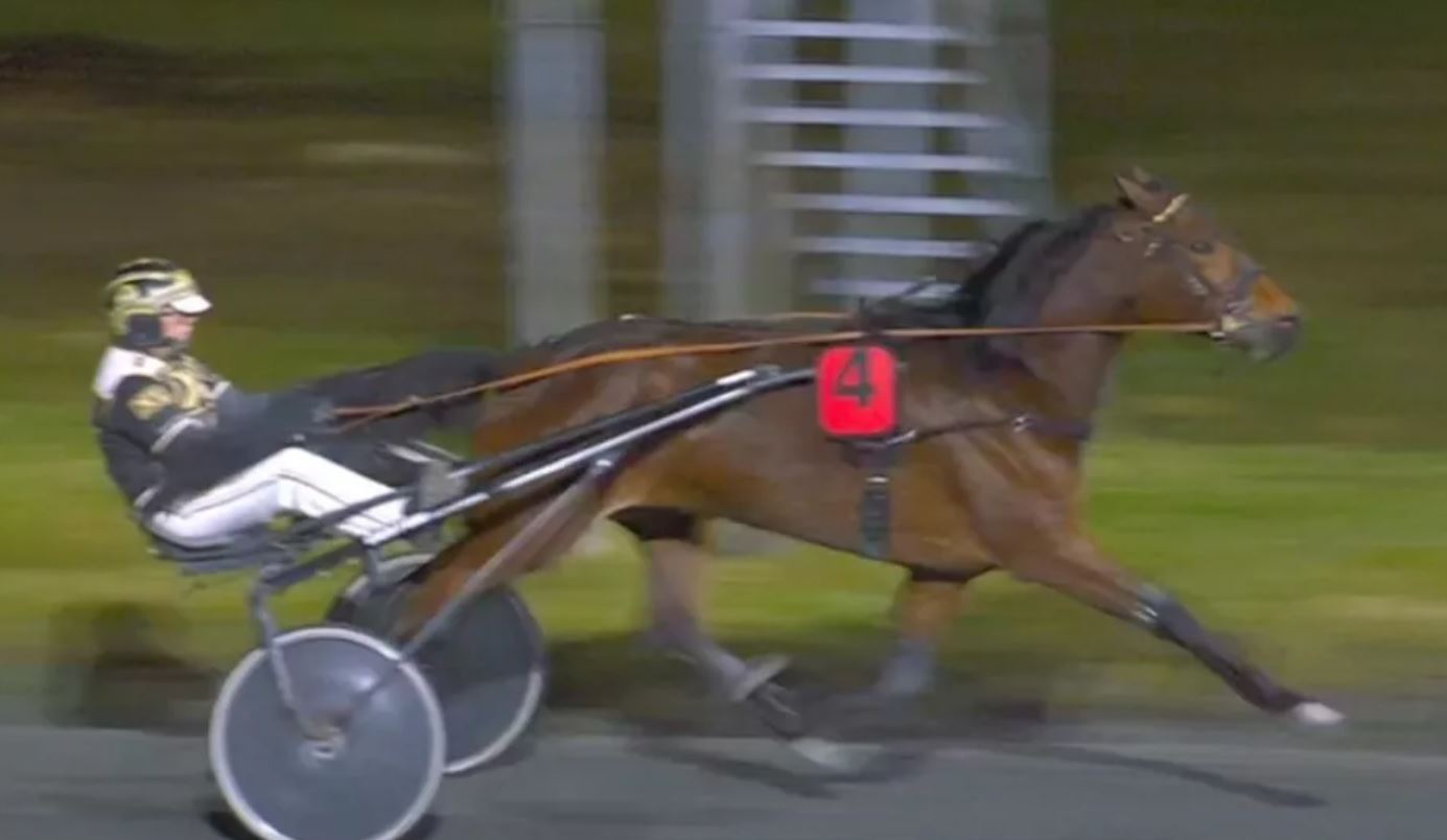 Stallsnack V65® Bergen | ATG