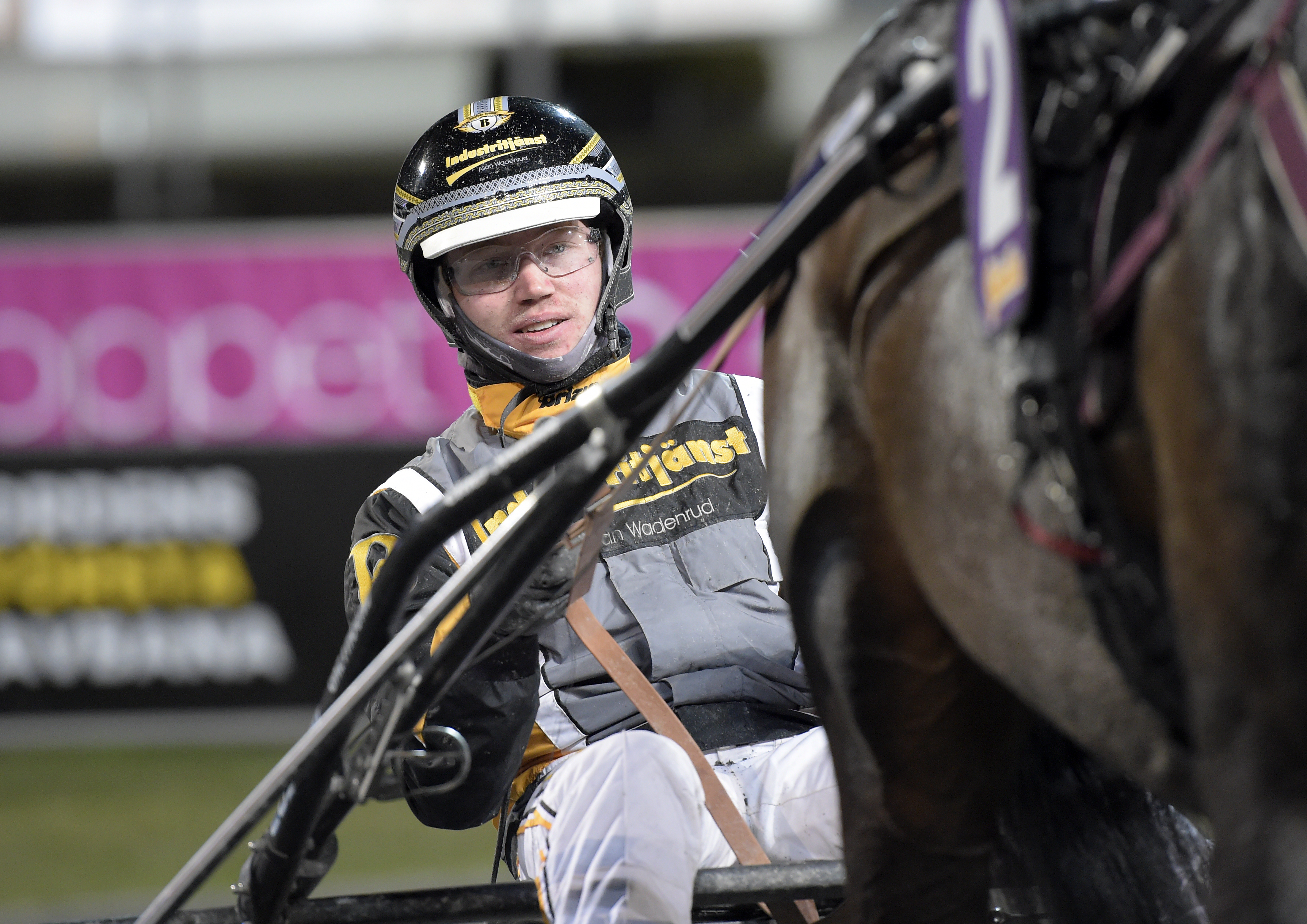 GS75®: Bardun hundraprocentig trots tuppluren… | ATG